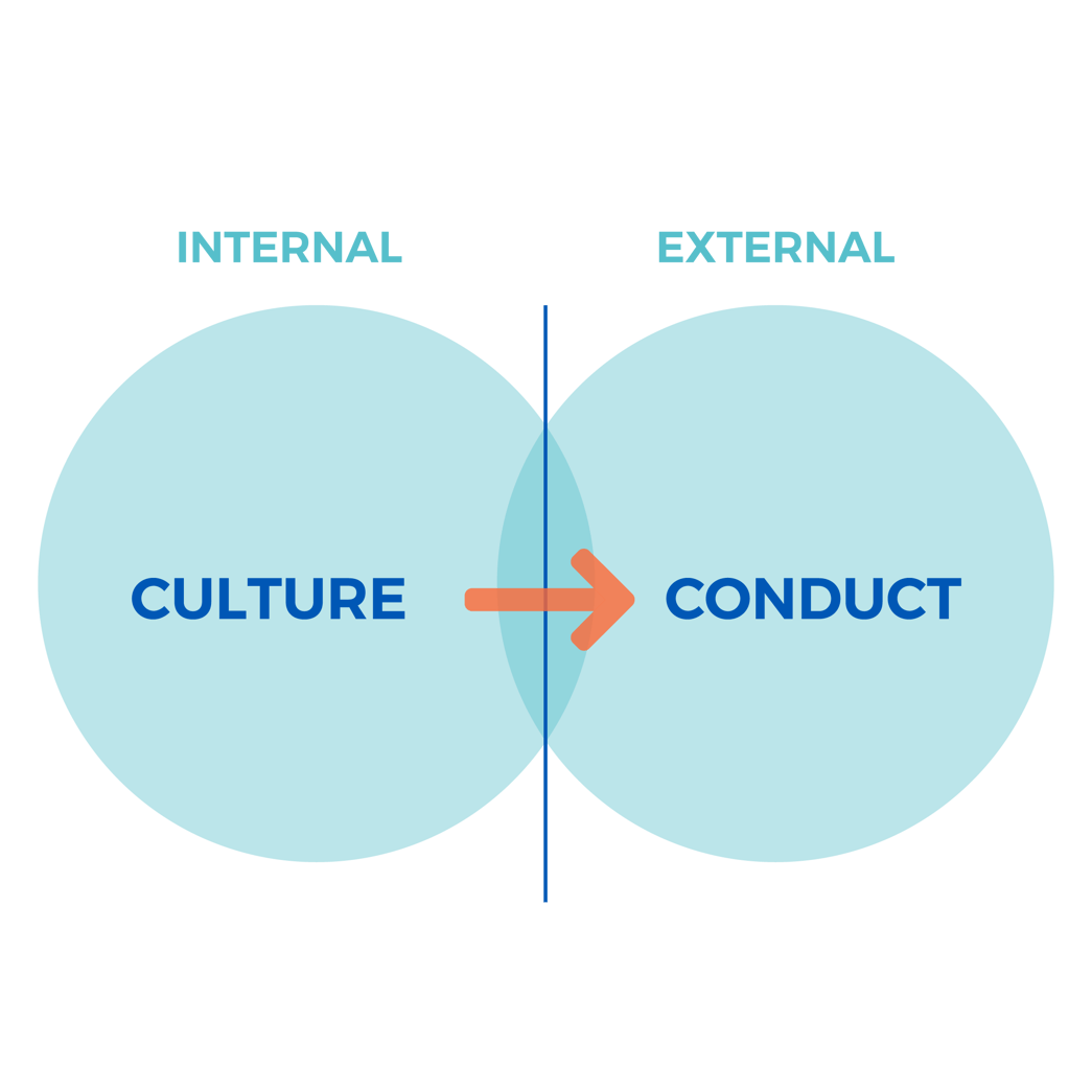 Risk Culture Audits: What it Means for Risk Management USA