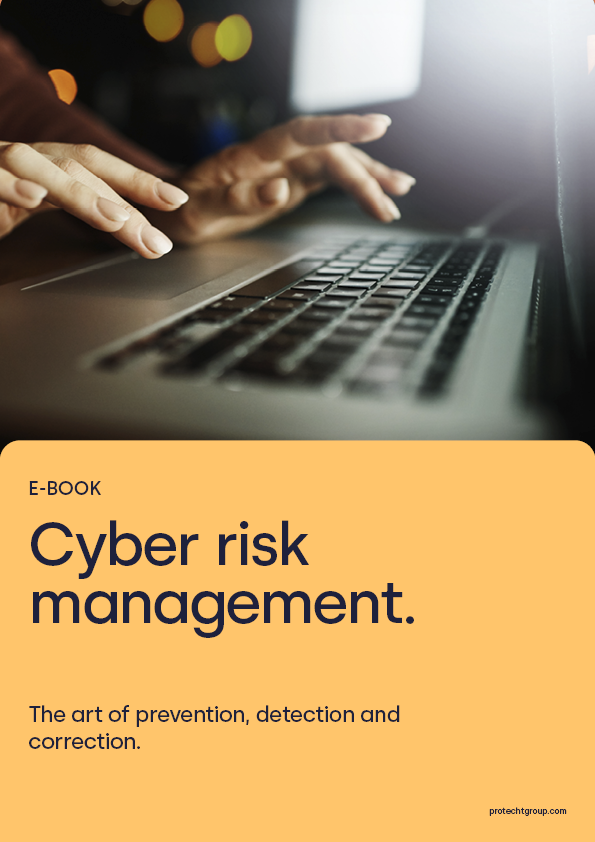 Cyber risk management: The art of prevention, detection and correction. USA