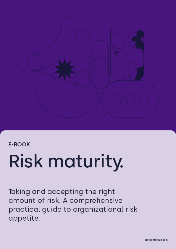 A Practical Guide to Risk Maturity