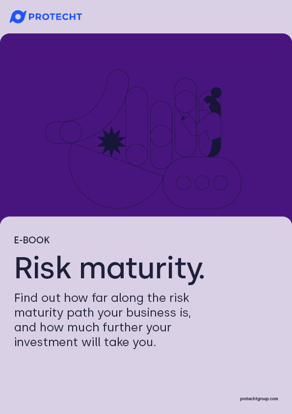 A Practical Guide to Risk Maturity USA