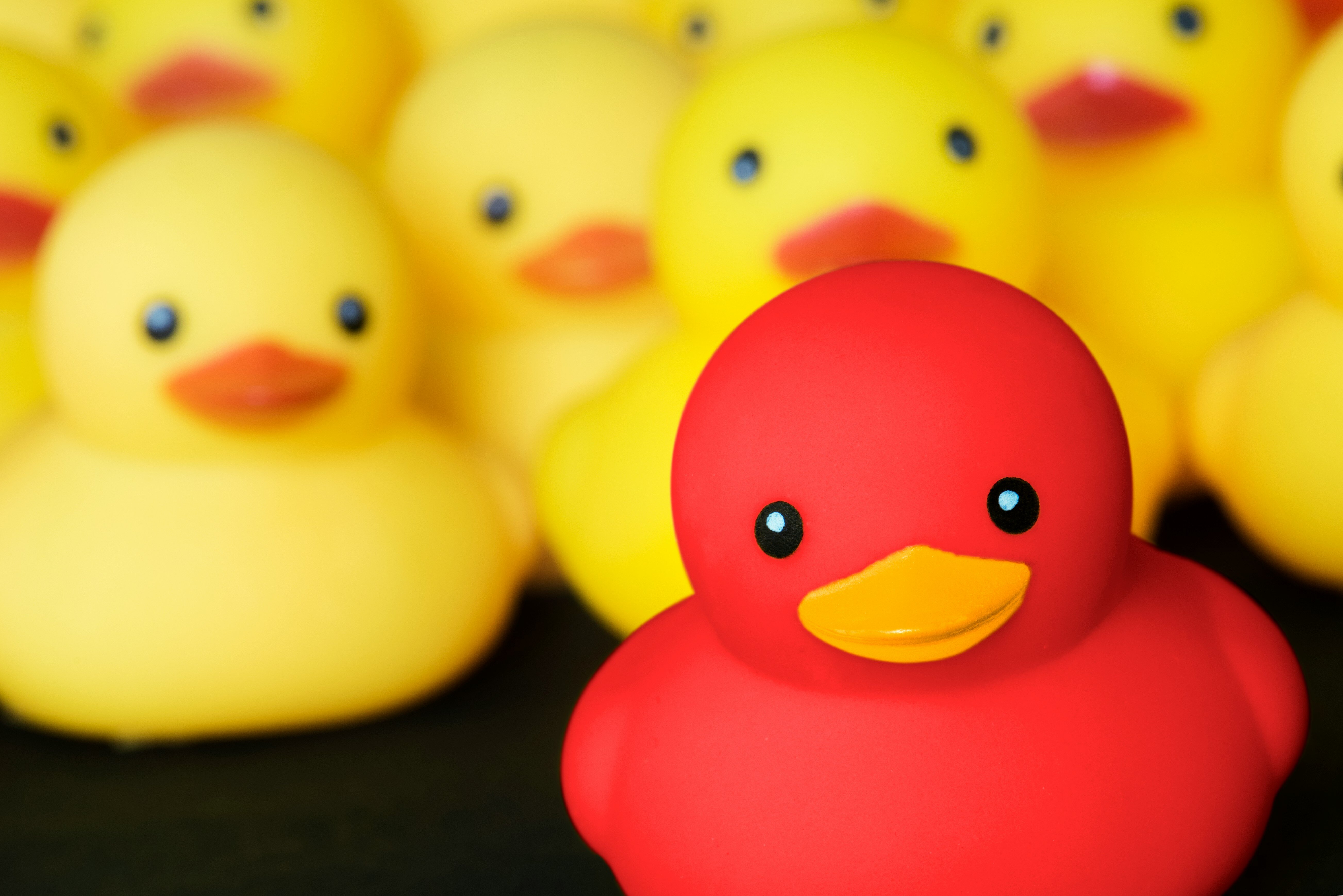 Comprehensive Guide to Employee Fraud Prevention & Detection USA